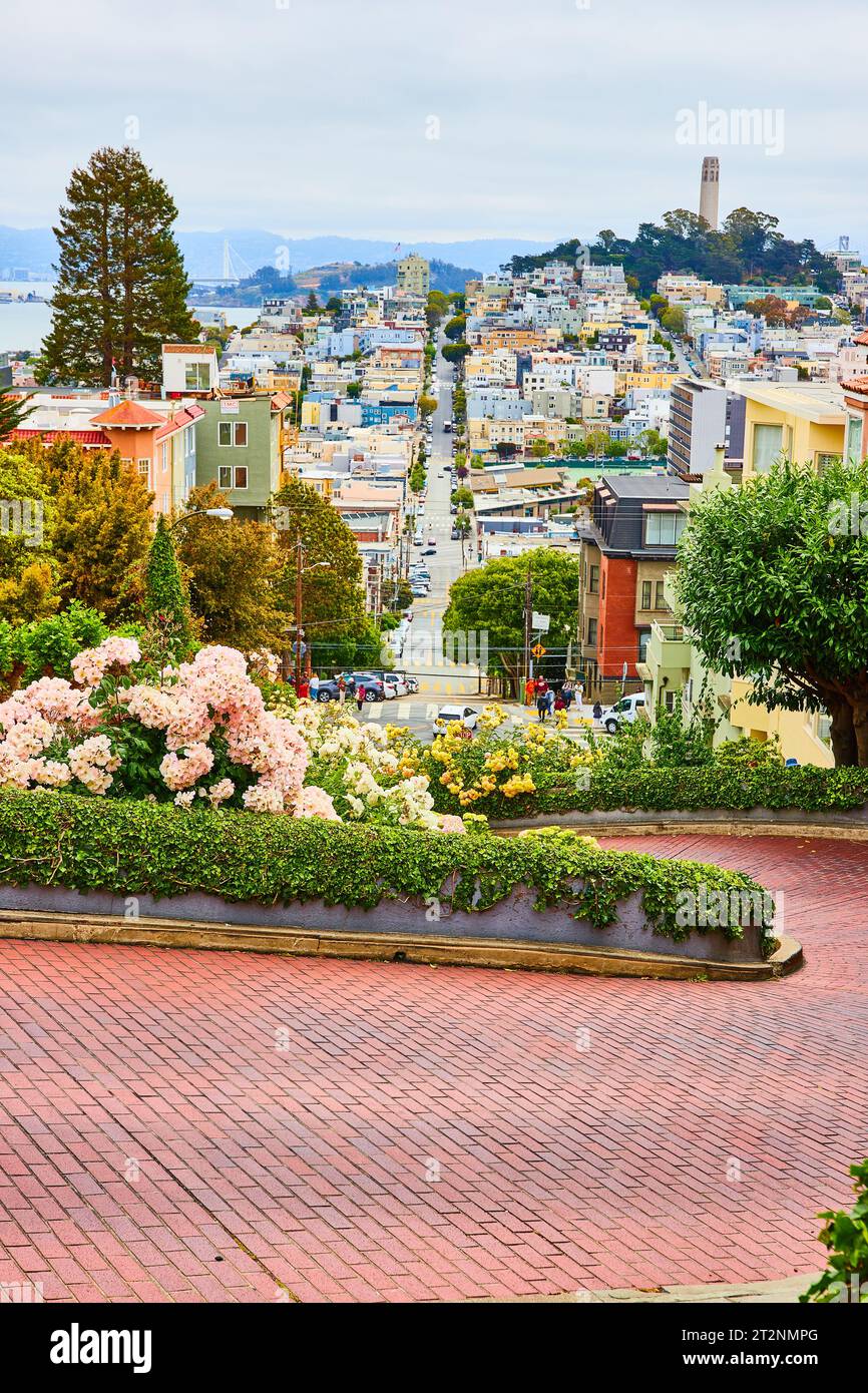 Coit road hi-res stock photography and images - Alamy