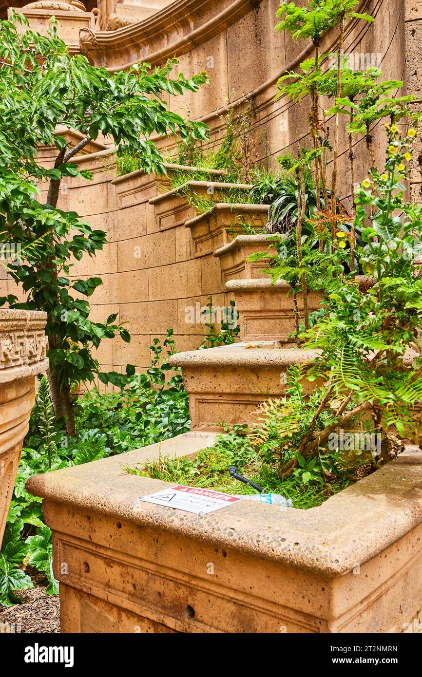 Plants growing up pillar stairs like a decaying ruin of ancient Rome at ...