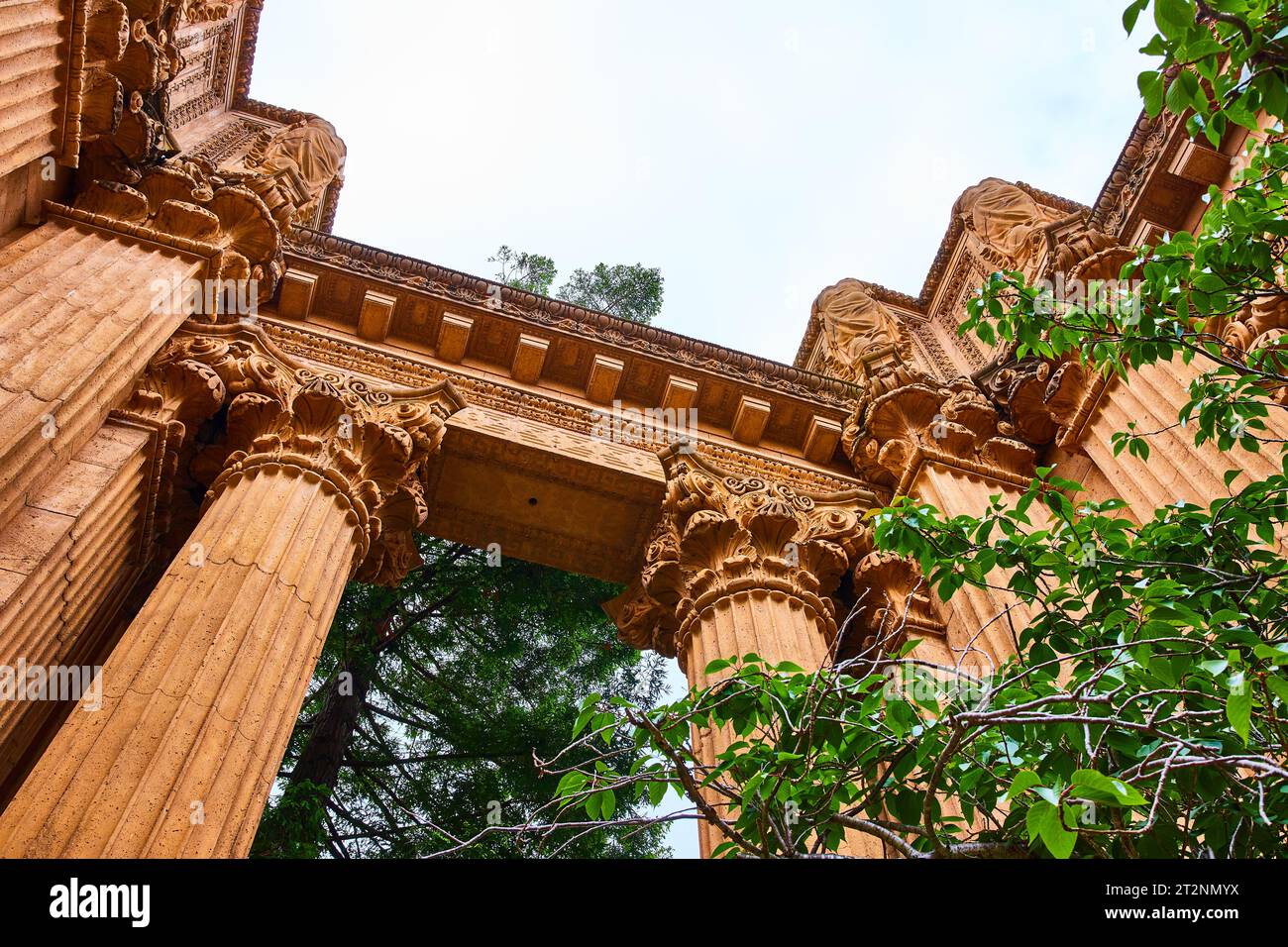 Decaying ruins of ancient Rome with colonnade pillars choked by plants ...