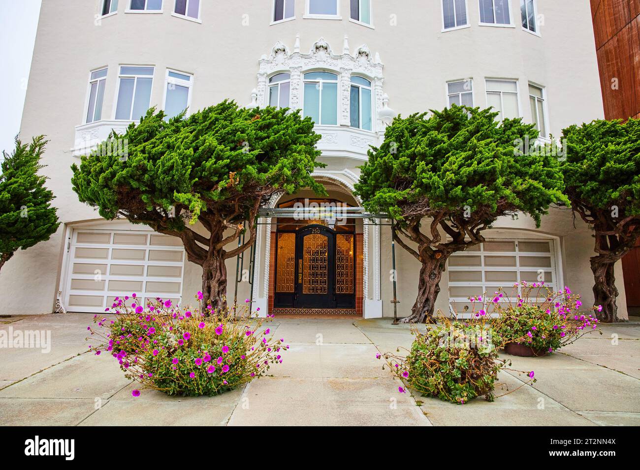 Tall white building framed by sycamore trees with golden glass windows ...