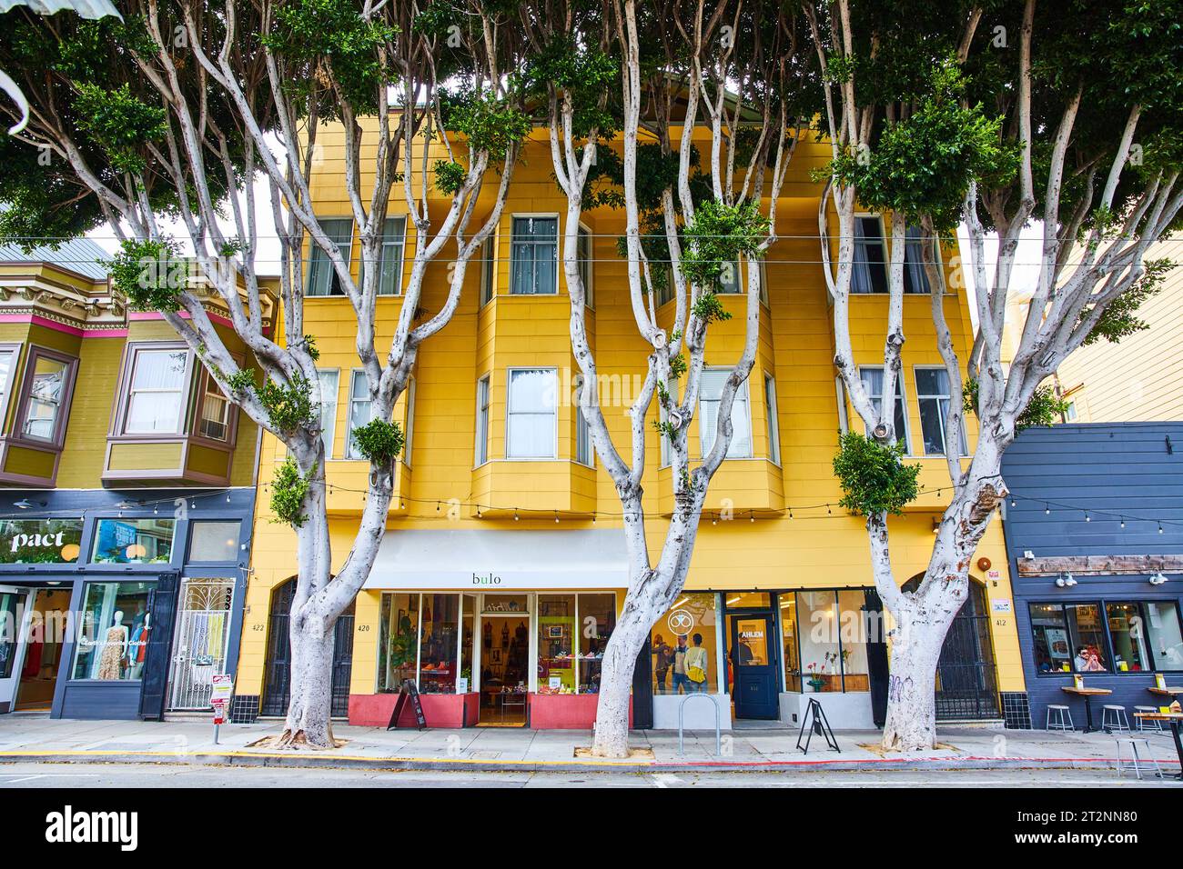 Three Sycamore trees in front of yellow shop with people inside and ...