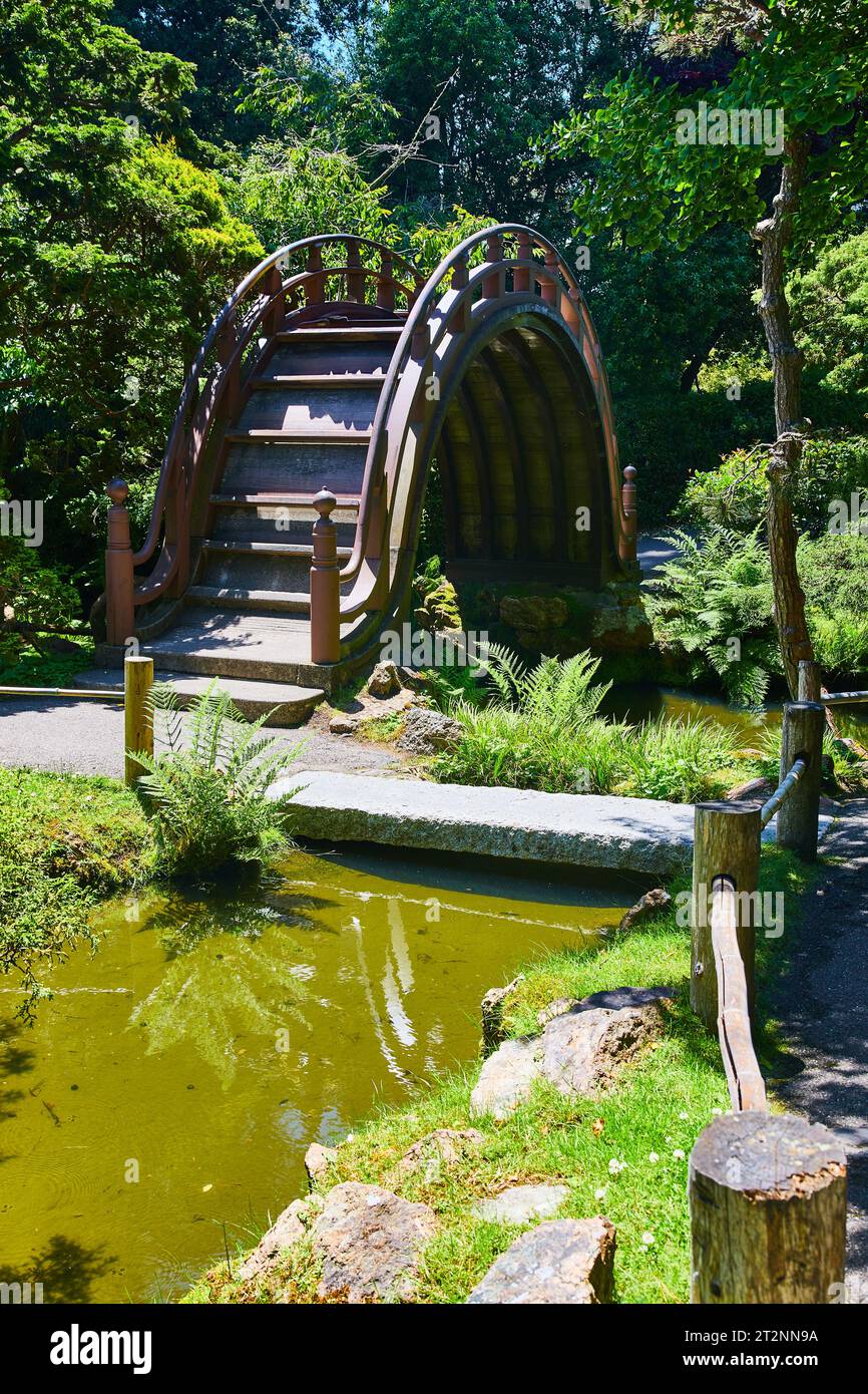 Green pool of water beside path leading to half circle bridge in ...