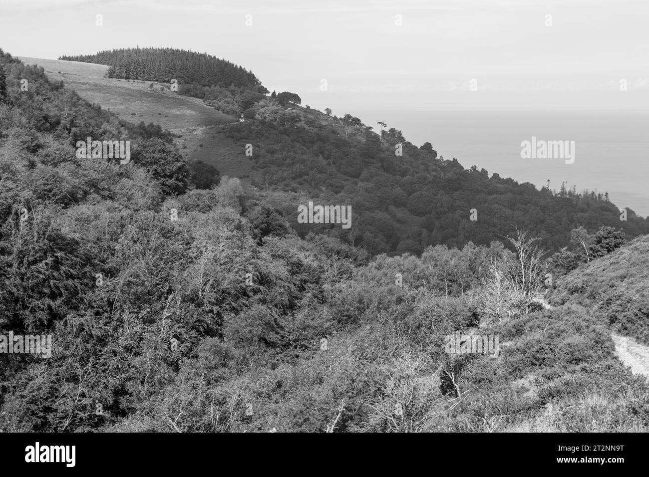 Photo of the footpath leading down to Glenthorne beach in Exmoor ...