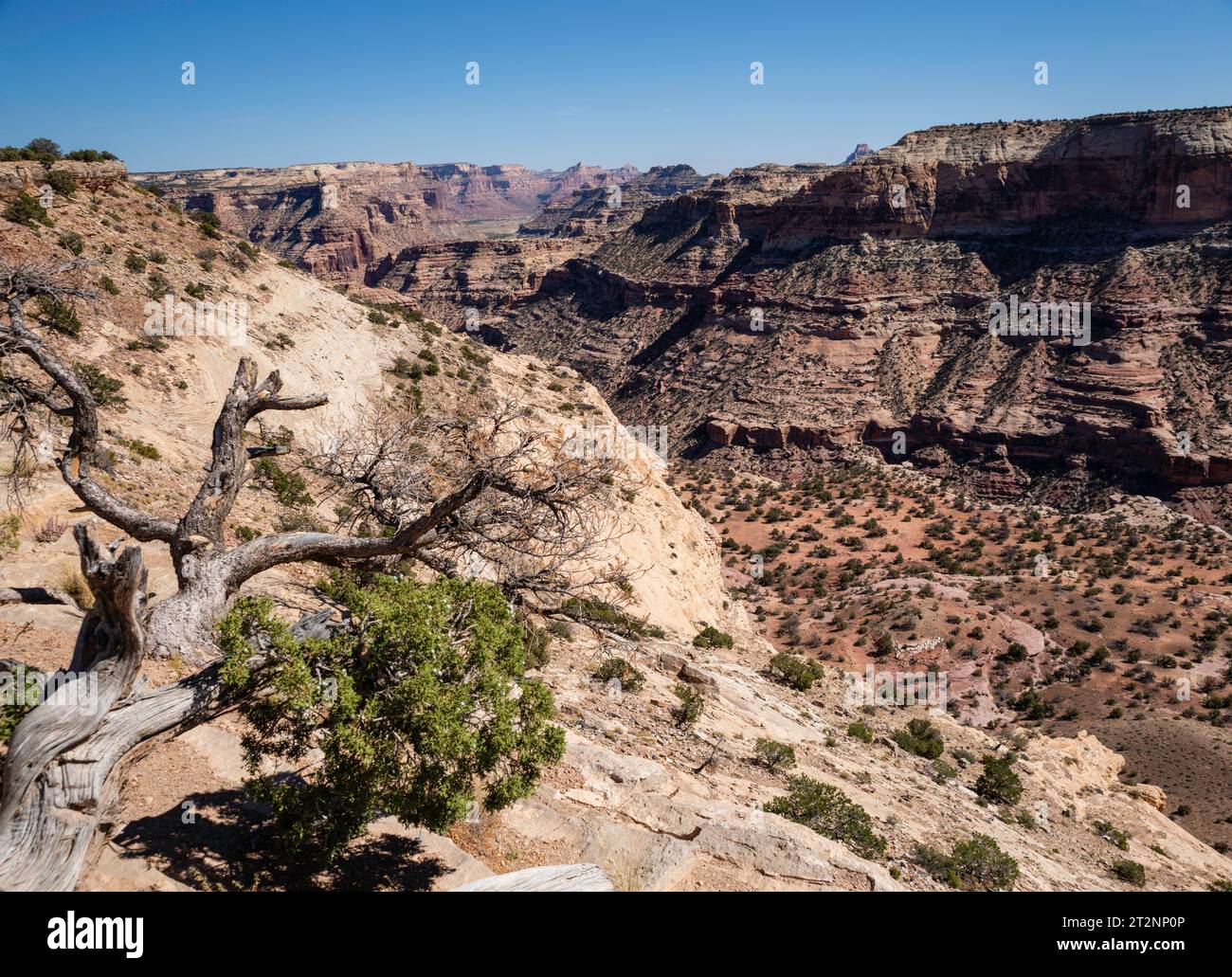 Photograph from The Wedge, overlooking the San Rafael River canyon ...
