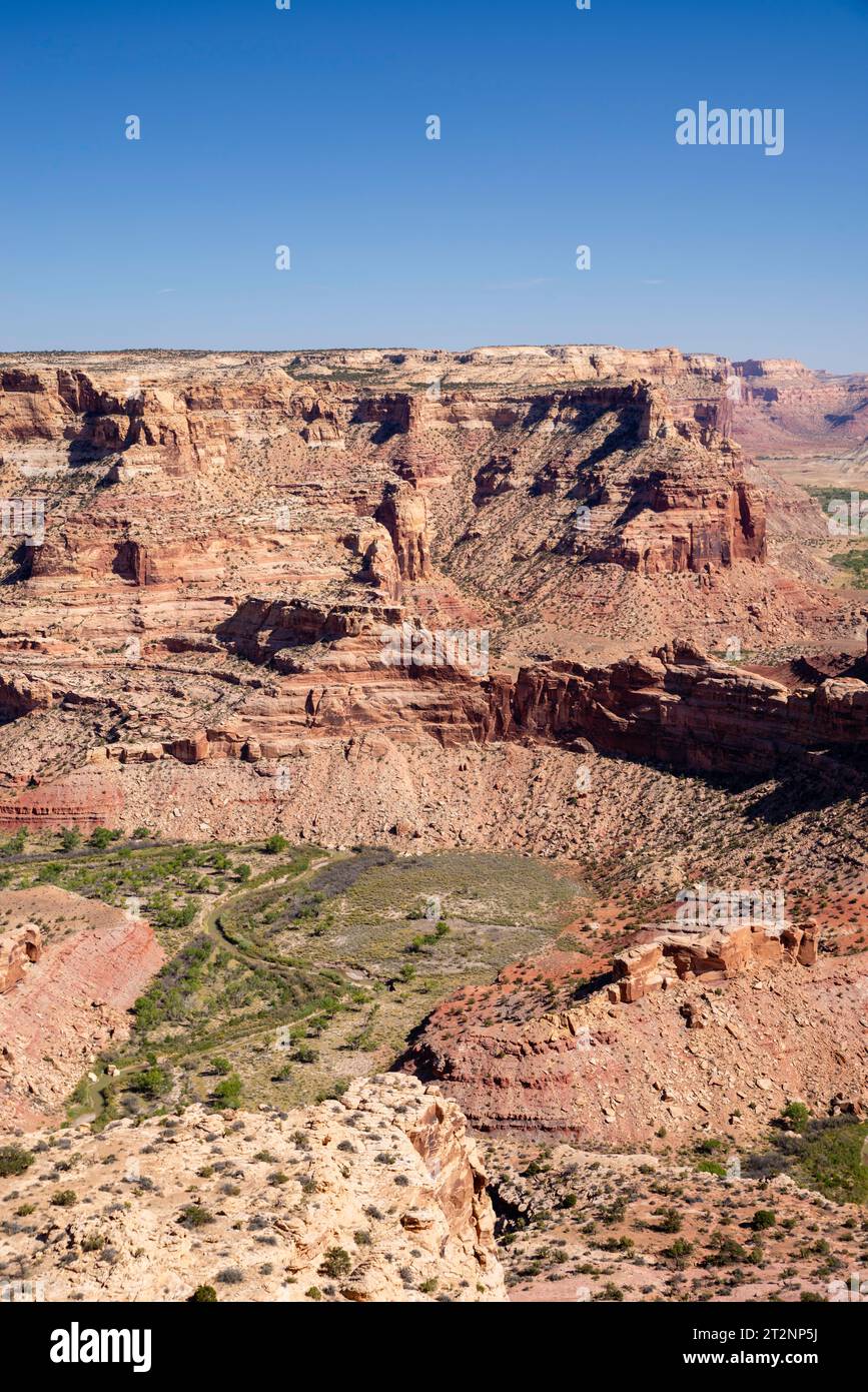 Photograph from The Wedge, overlooking the San Rafael River canyon ...