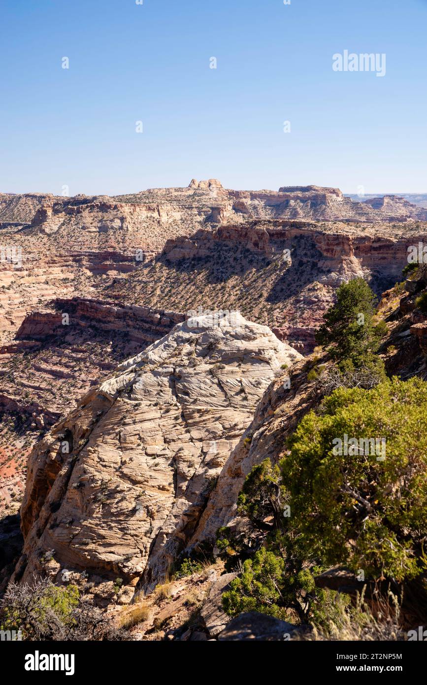 Photograph from The Wedge, overlooking the San Rafael River canyon ...
