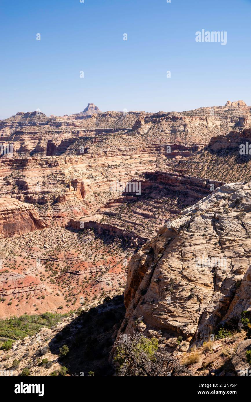 Photograph from The Wedge, overlooking the San Rafael River canyon ...