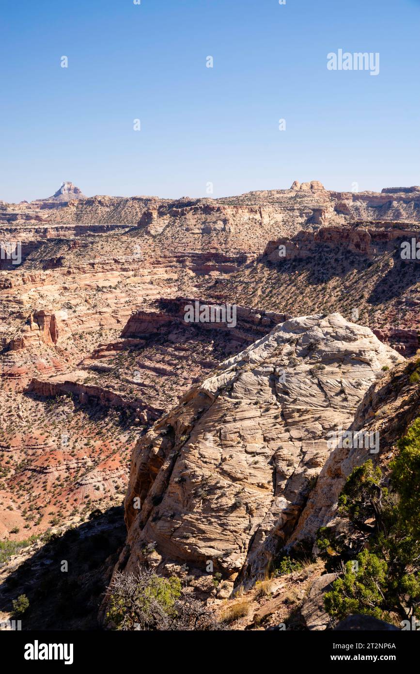 Photograph from The Wedge, overlooking the San Rafael River canyon ...