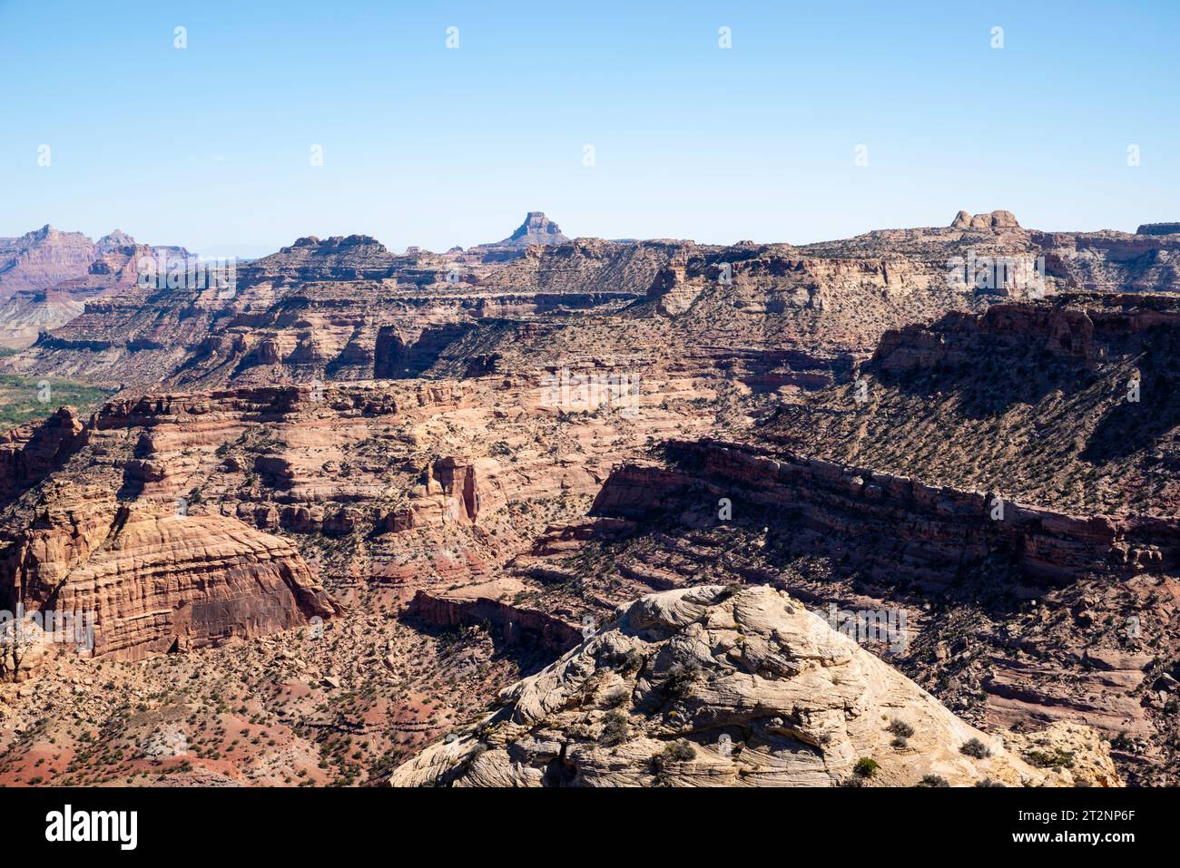 Photograph from The Wedge, overlooking the San Rafael River canyon ...
