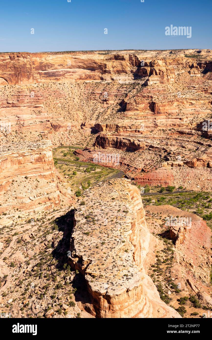 Photograph from The Wedge, overlooking the San Rafael River canyon ...