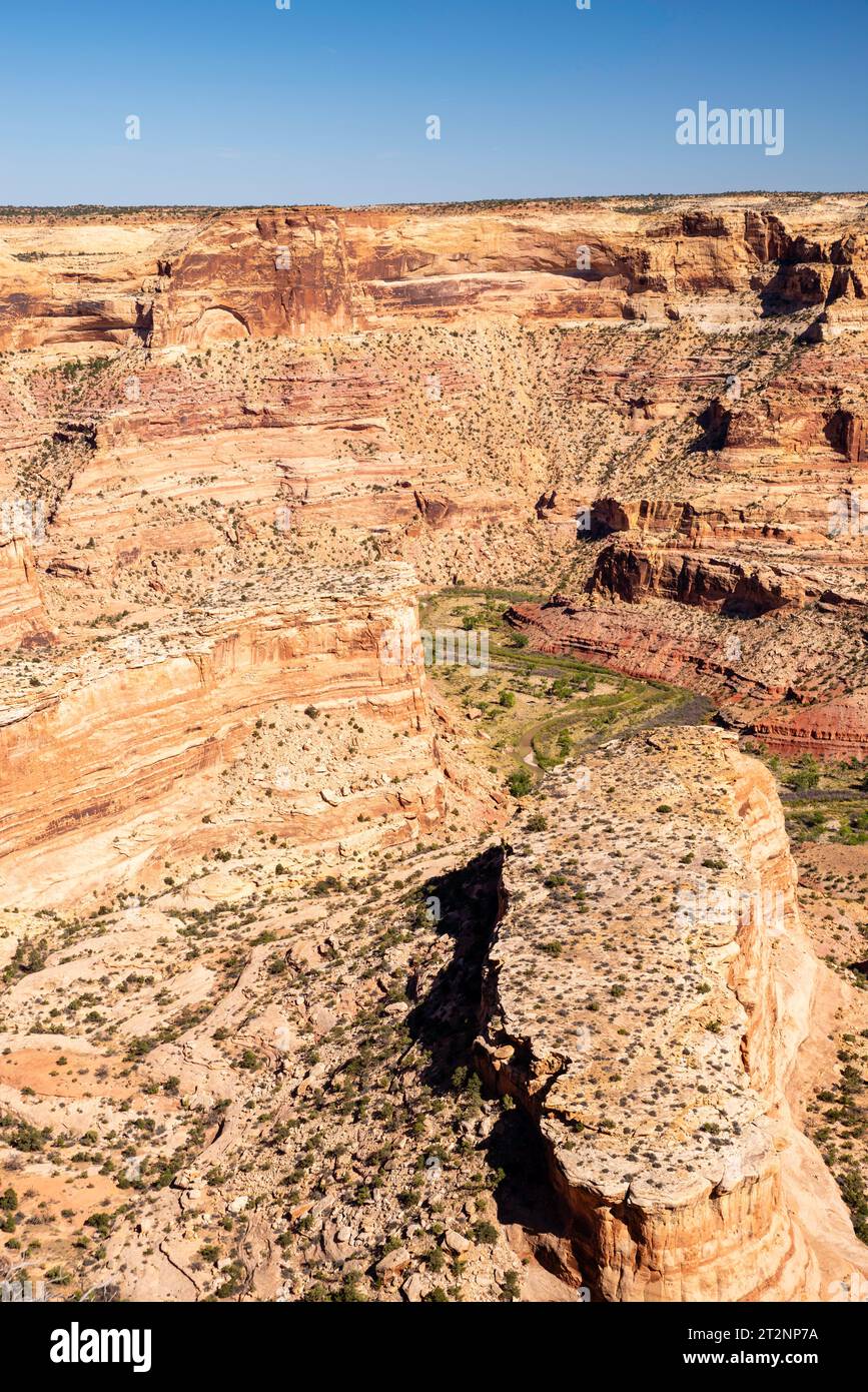 Photograph from The Wedge, overlooking the San Rafael River canyon ...