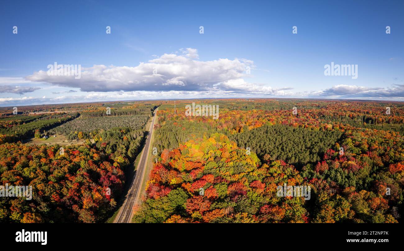An Aerial view of a lush green landscape with rows of trees under the ...