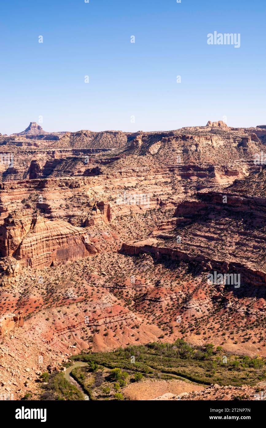 Photograph from The Wedge, overlooking the San Rafael River canyon ...