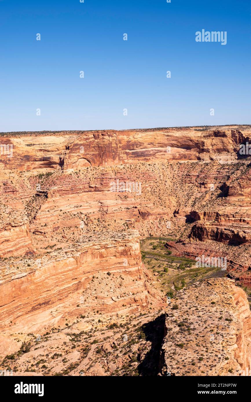 Photograph from The Wedge, overlooking the San Rafael River canyon ...