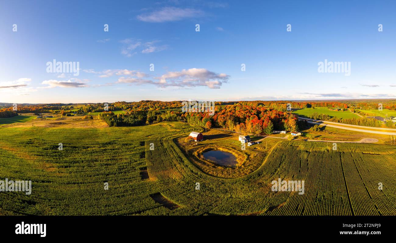 An Aerial view of a lush green landscape with rows of trees under the ...