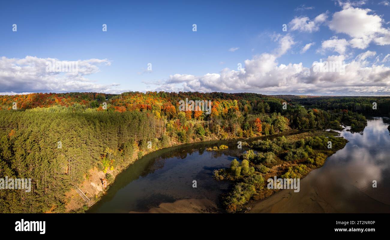 An Aerial view of a lush green landscape with rows of trees under the ...