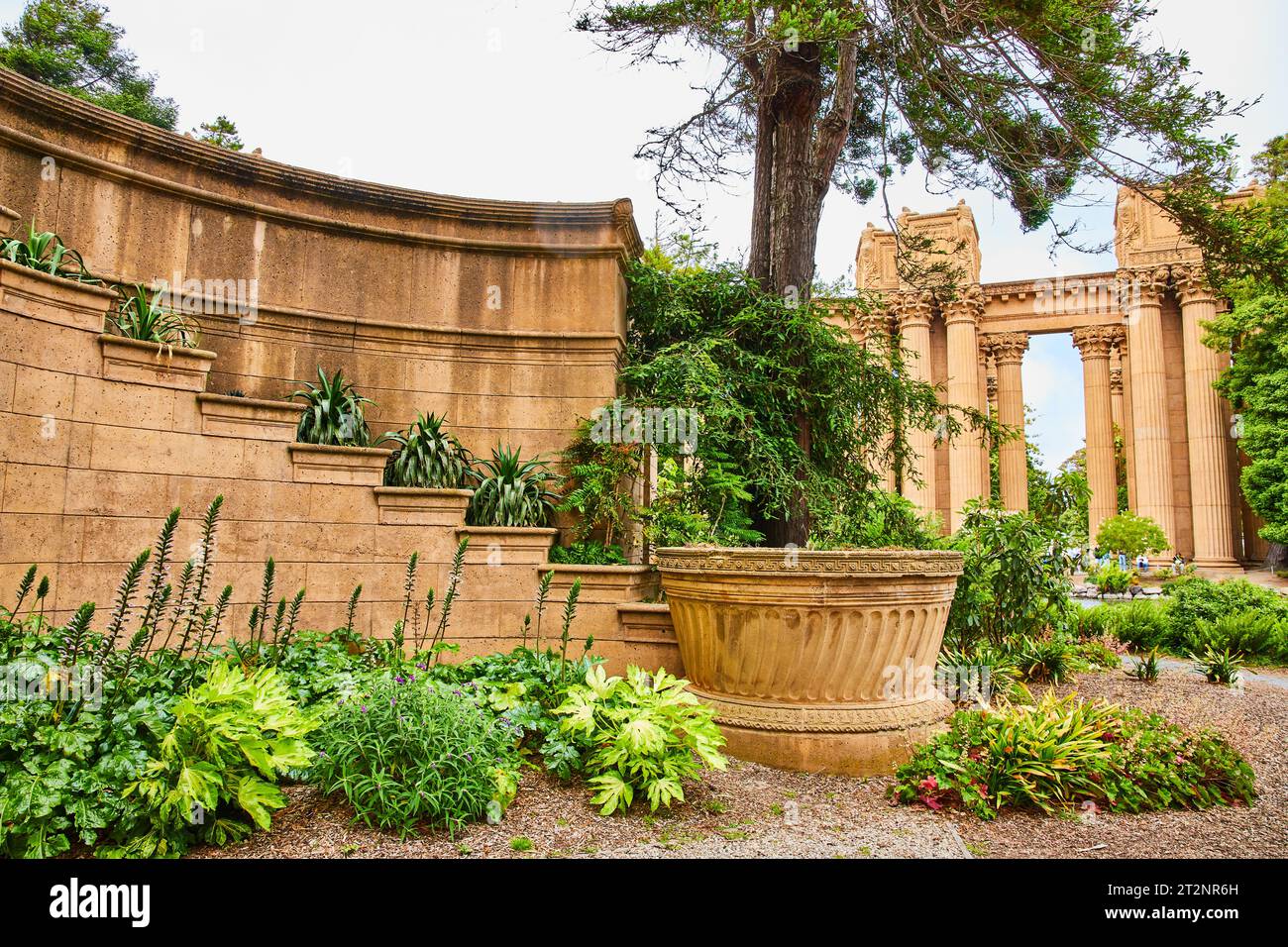 Plants growing up stairs like a decaying ruin of ancient Rome at Palace ...
