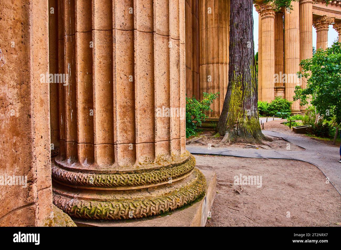 Trail through Roman styled colonnade pillars at Palace of Fine Arts ...