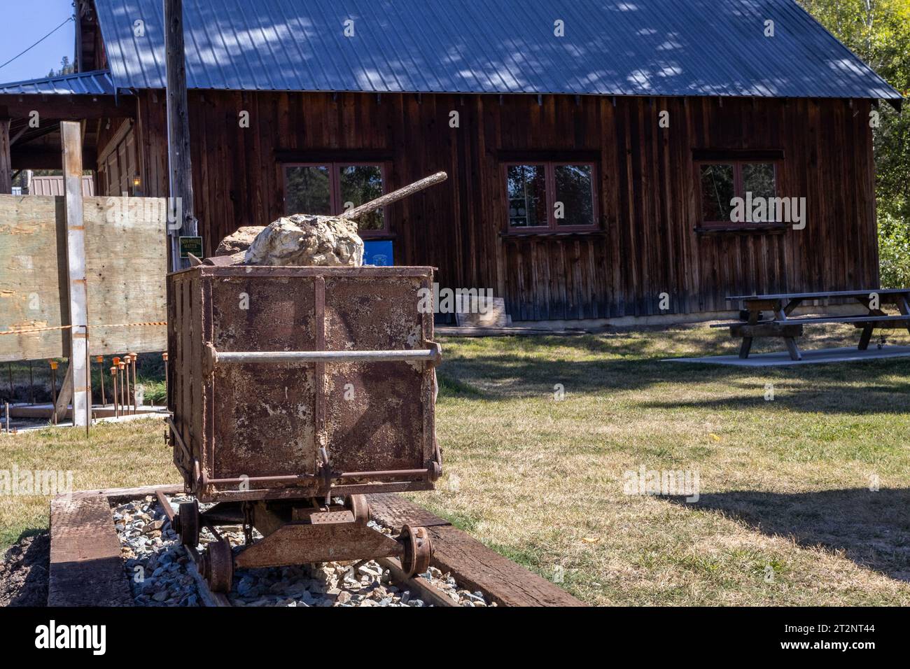 Ghost forest in washington hi-res stock photography and images - Alamy