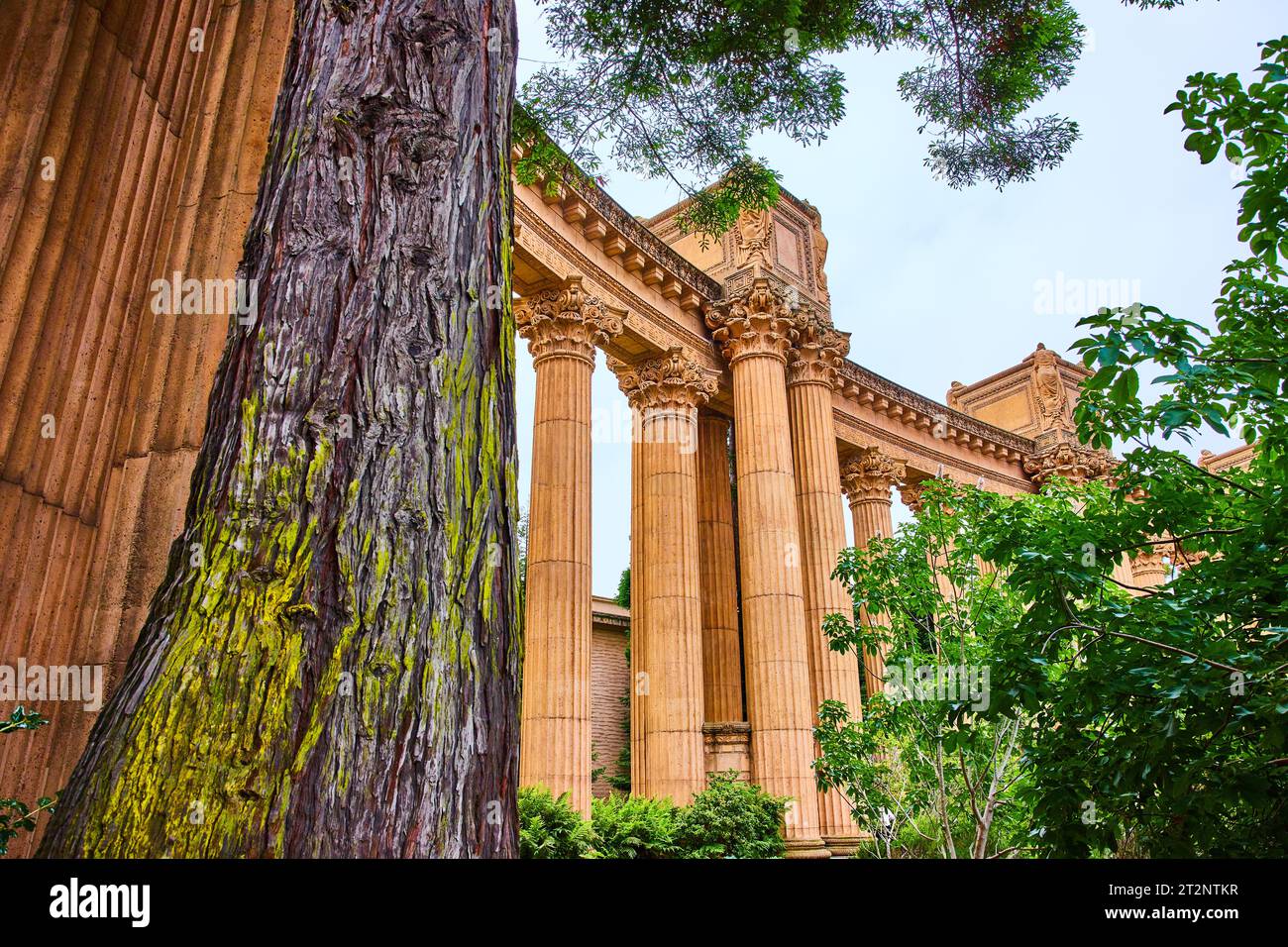 Plants surrounding colonnade pillars like decaying ruins of ancient ...