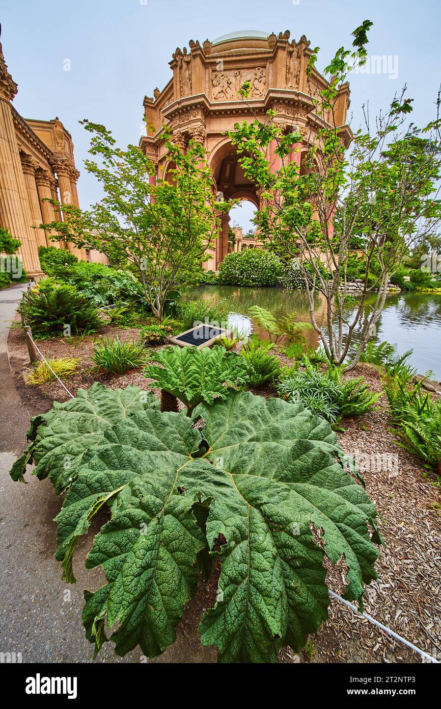Plants beside trail around pond leading to decaying ruin of ancient ...