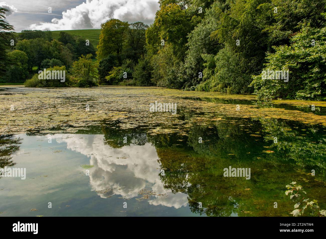 The Lake at Littlebredy, Dorset, England Stock Photo - Alamy