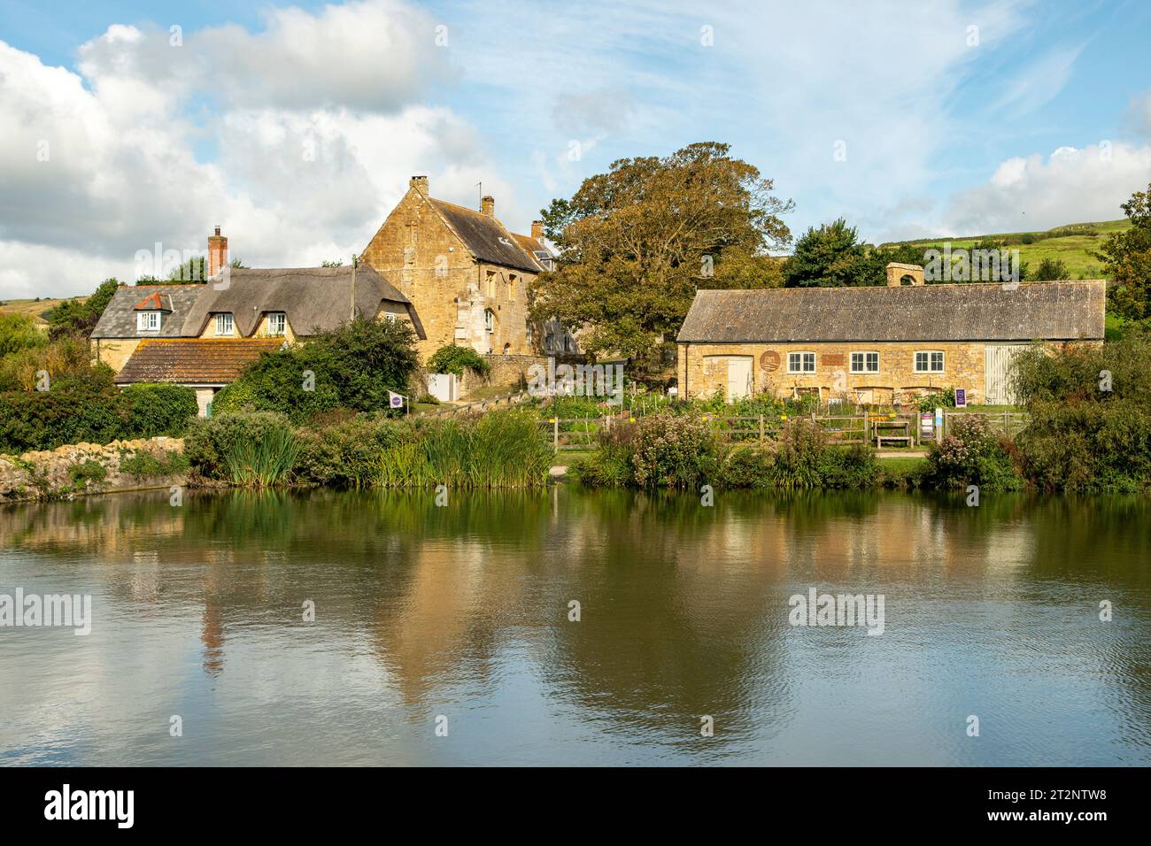 Abbotsbury hi-res stock photography and images - Alamy