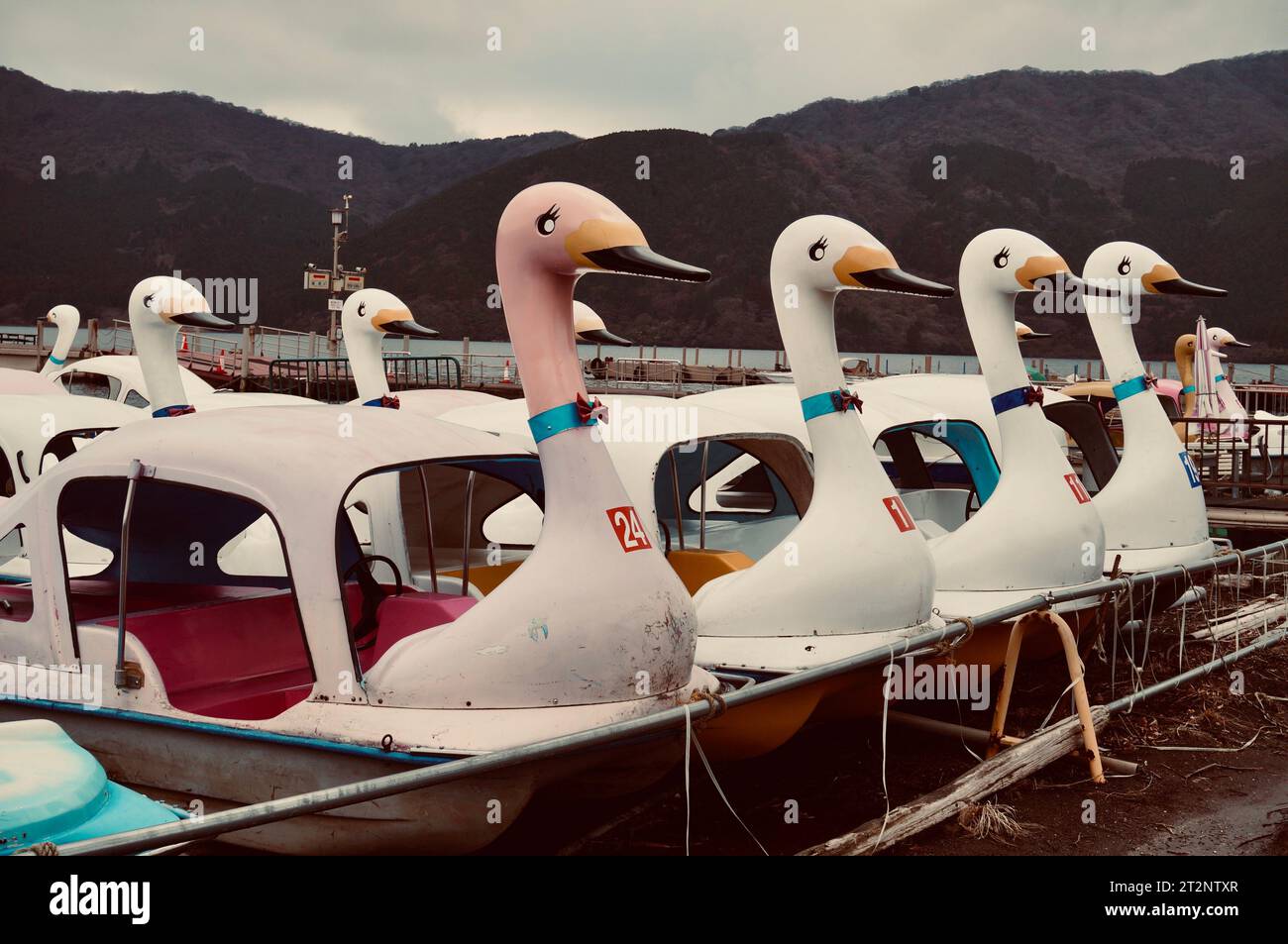 Duck boats in a row at the pier in japan in color Stock Photo - Alamy