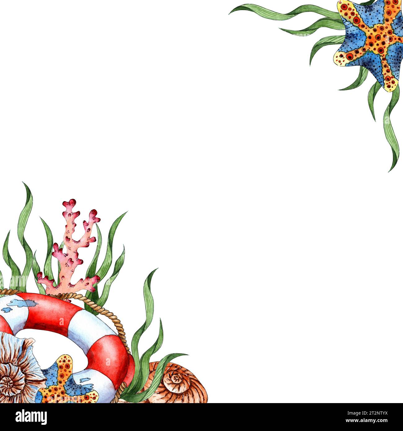 Watercolor illustration of a lifebuoy frame, seashells, coral, algae ...