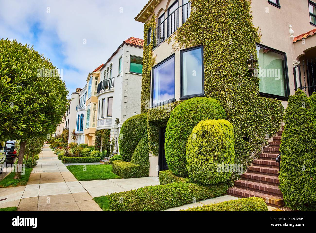 House covered in ivy with large puffy shrubbery around its exterior ...