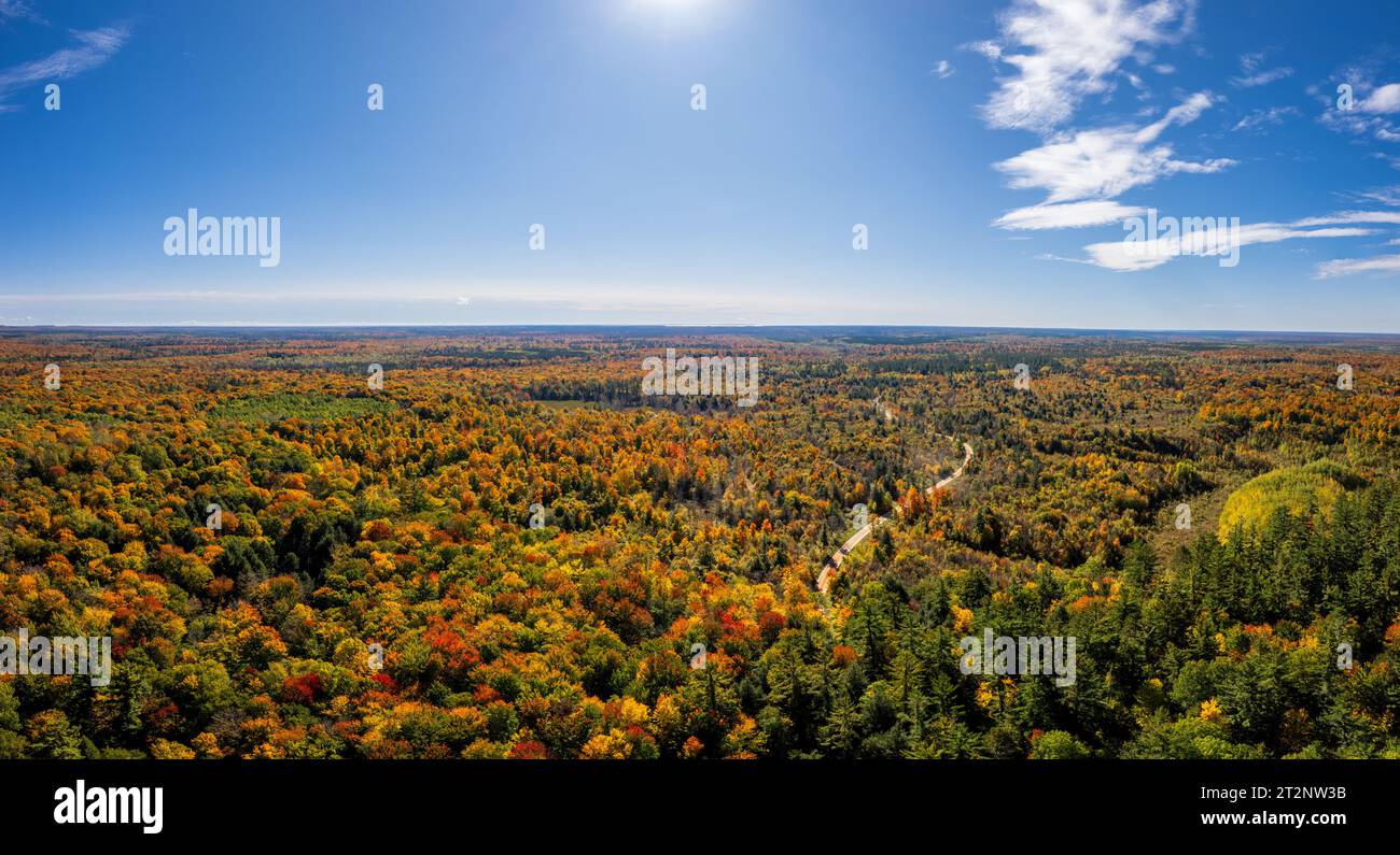 An Aerial view of a lush green landscape with rows of trees under the ...