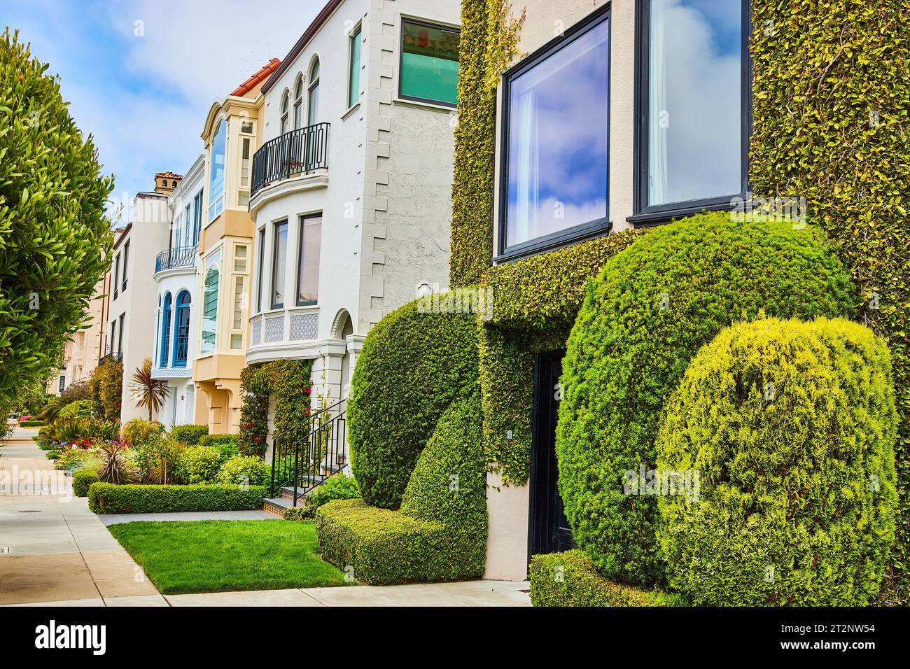 Well manicured bushes in front of ivy covered house with side view of ...