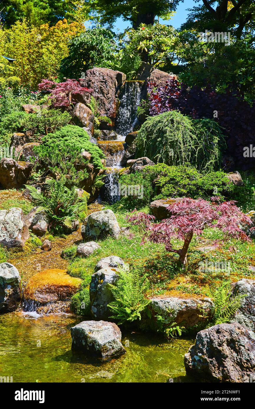 Mini waterfall in colorful outdoor garden with water leading to green ...
