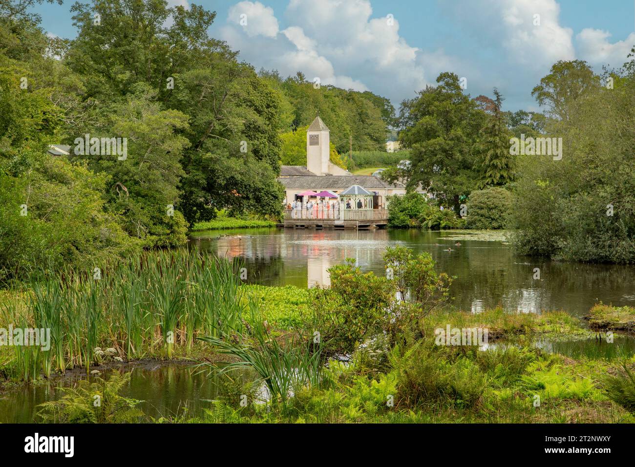 Lake at Canonteign Estate, Chudleigh, Devon, England Stock Photo - Alamy