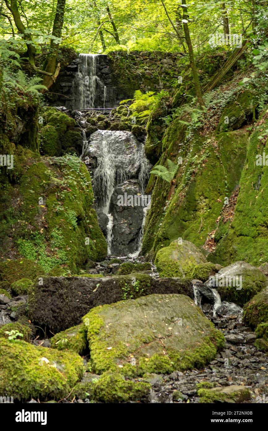 Clampitt Falls, Canonteign Estate, Chudleigh, Devon, England Stock ...