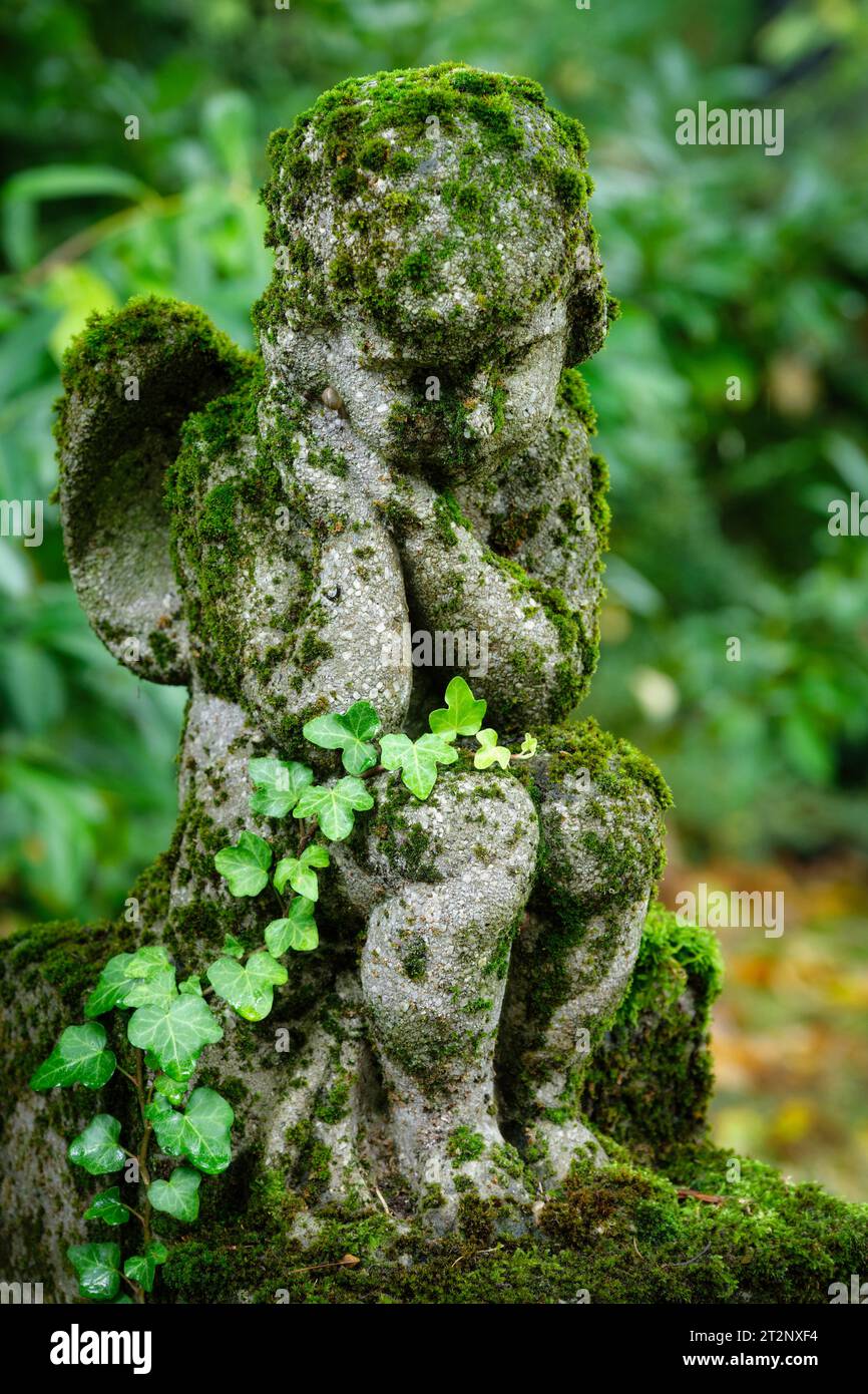 moss covered small putto sitting tired on a stone at a grave in a ...