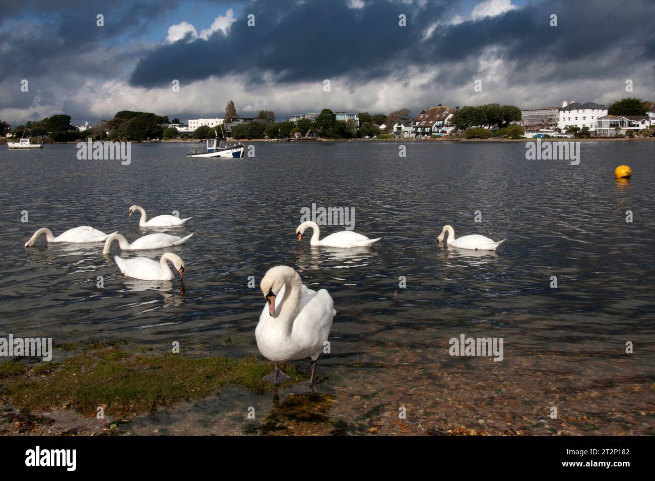 Mudeford Quay, Christchurch, Dorset, England Stock Photo - Alamy