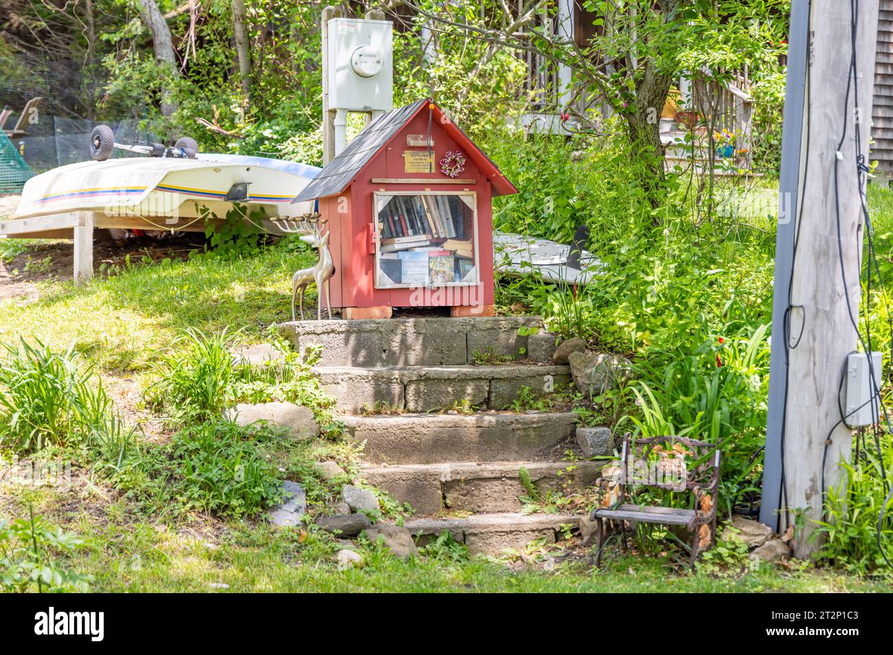 a small book exchange house in a busy yard filled with odds and ends ...