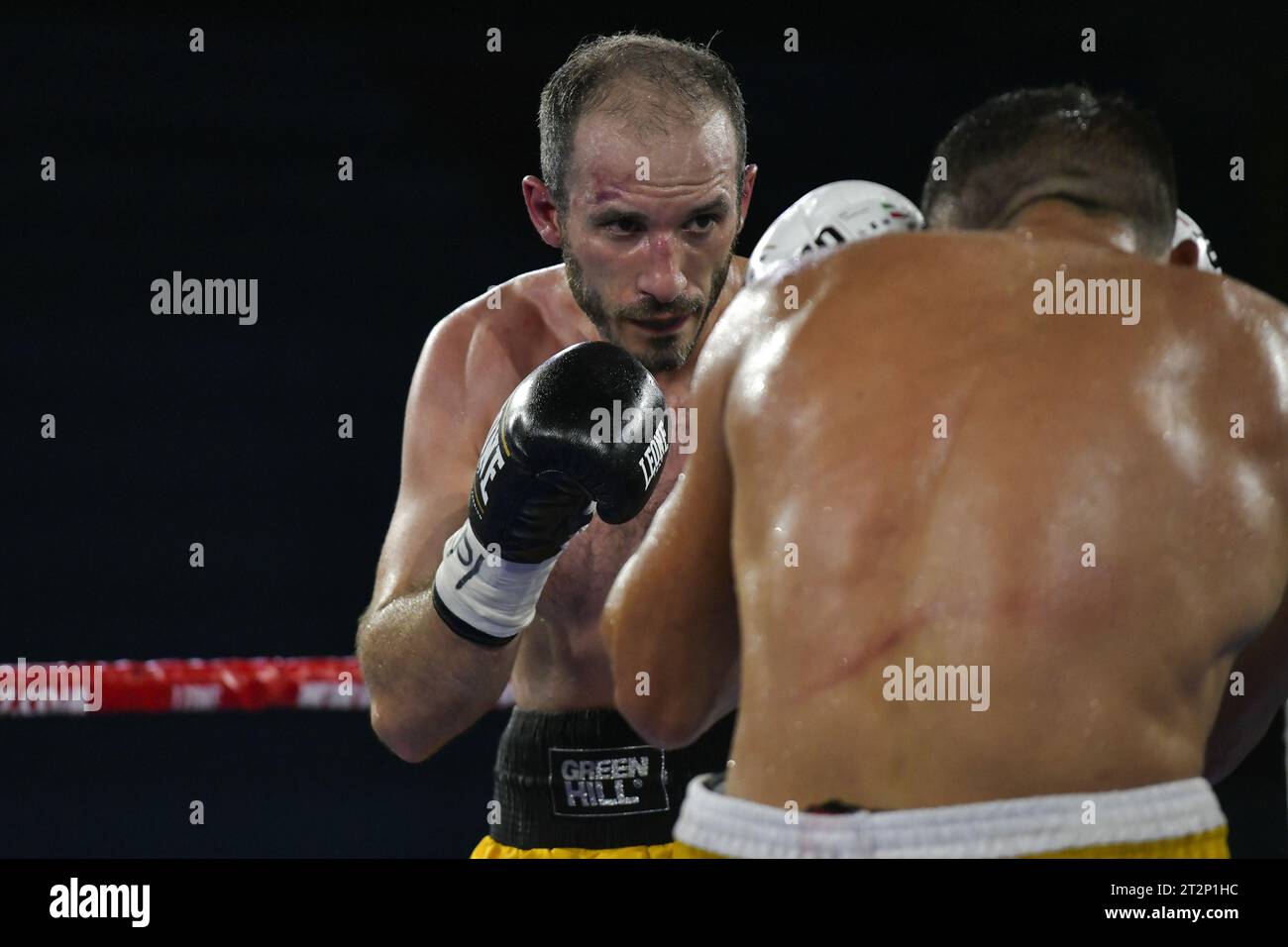 Palasport rome hi-res stock photography and images - Alamy