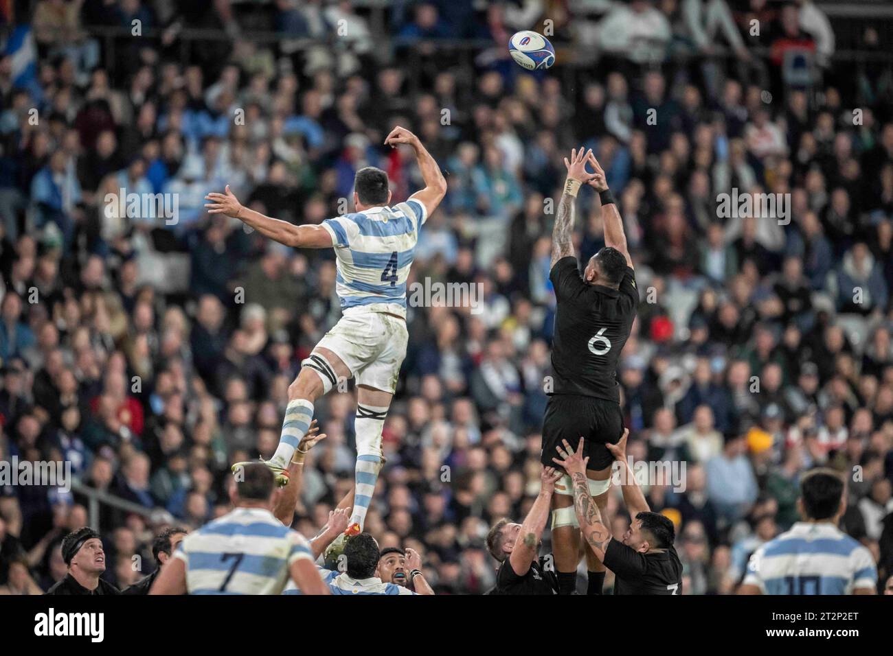 Guido petti pagadizabal hi-res stock photography and images - Alamy