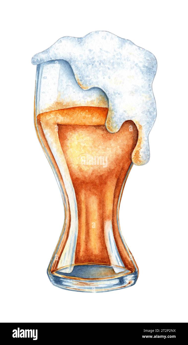 Watercolor illustration of beer with foam in a glass. Harvest festival ...