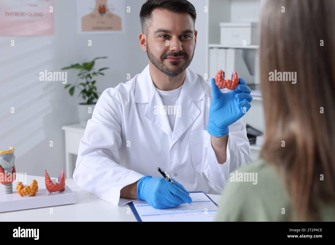 Endocrinologist showing thyroid gland model to patient at table in ...