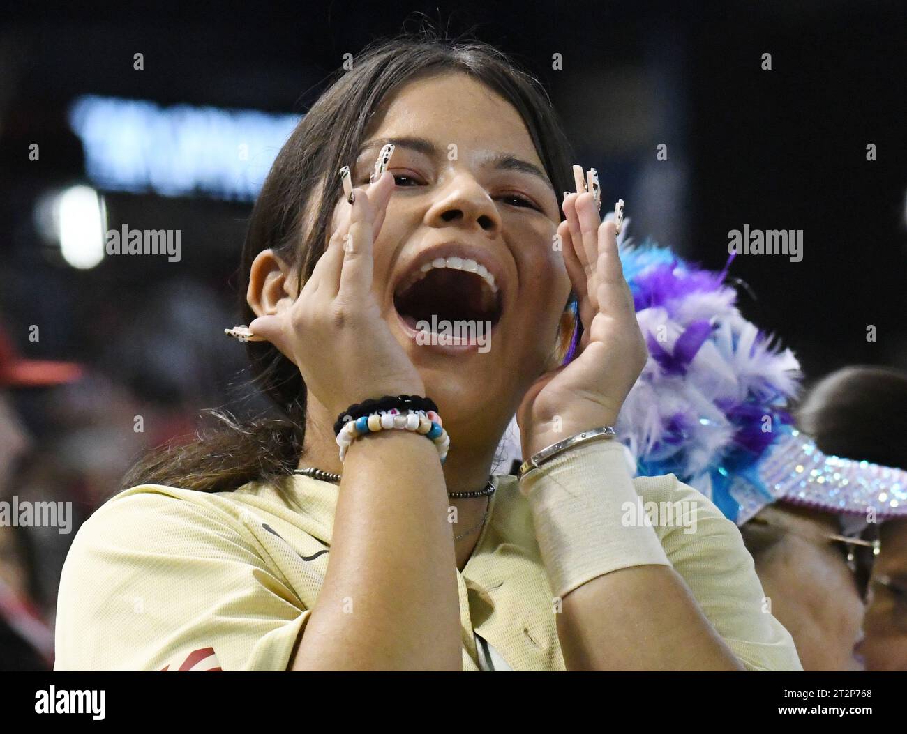 Phoenix, United States. 20th Oct, 2023. An Arizona Diamondbacks fan ...