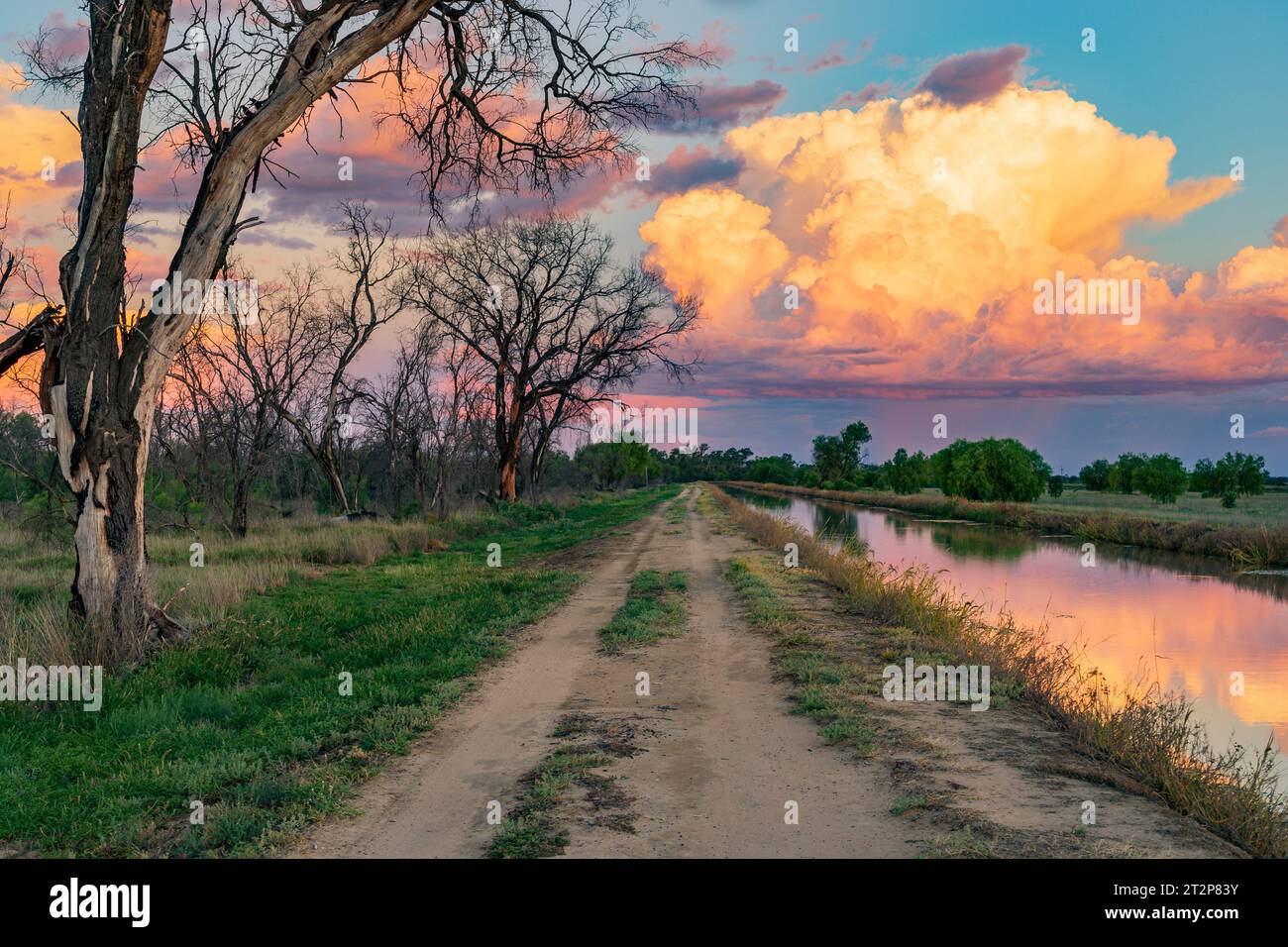 A glowing storm cloud at the end of a farm track alongside an ...