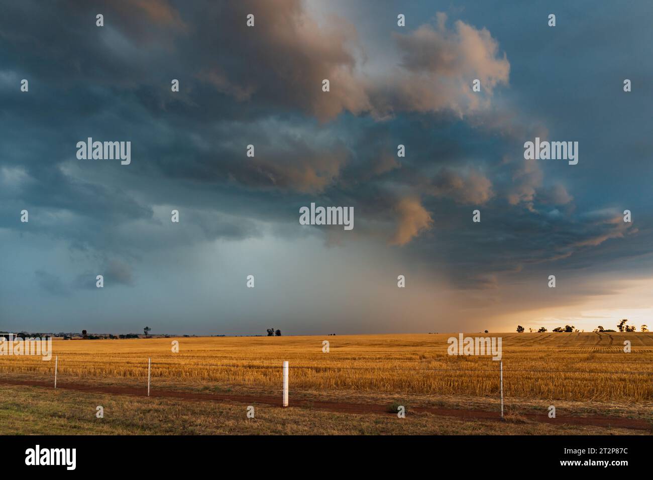 Australia victoria farm fields hi-res stock photography and images - Alamy