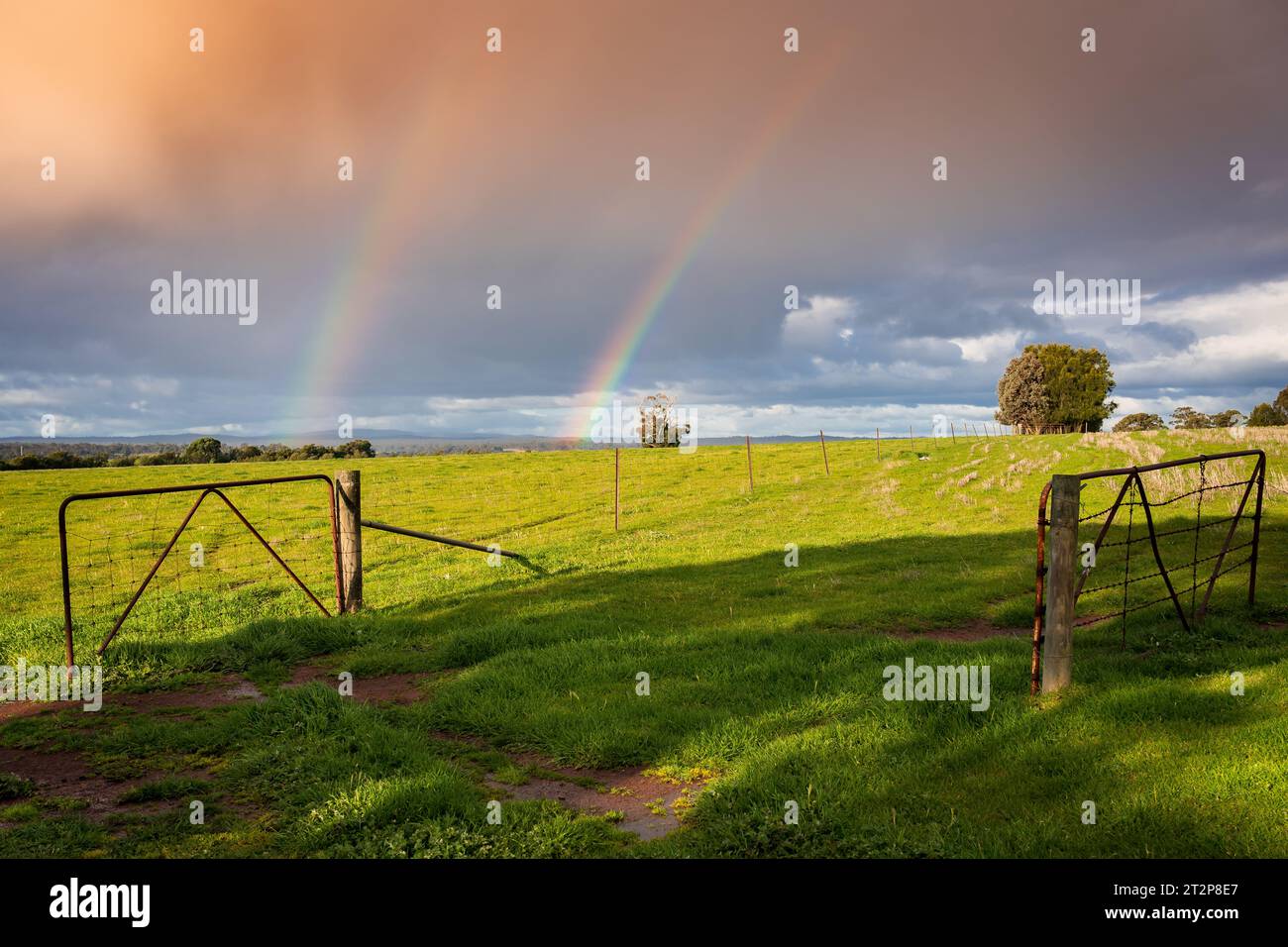 A double rainbow over green farmland behind open gates at Strathlea in ...