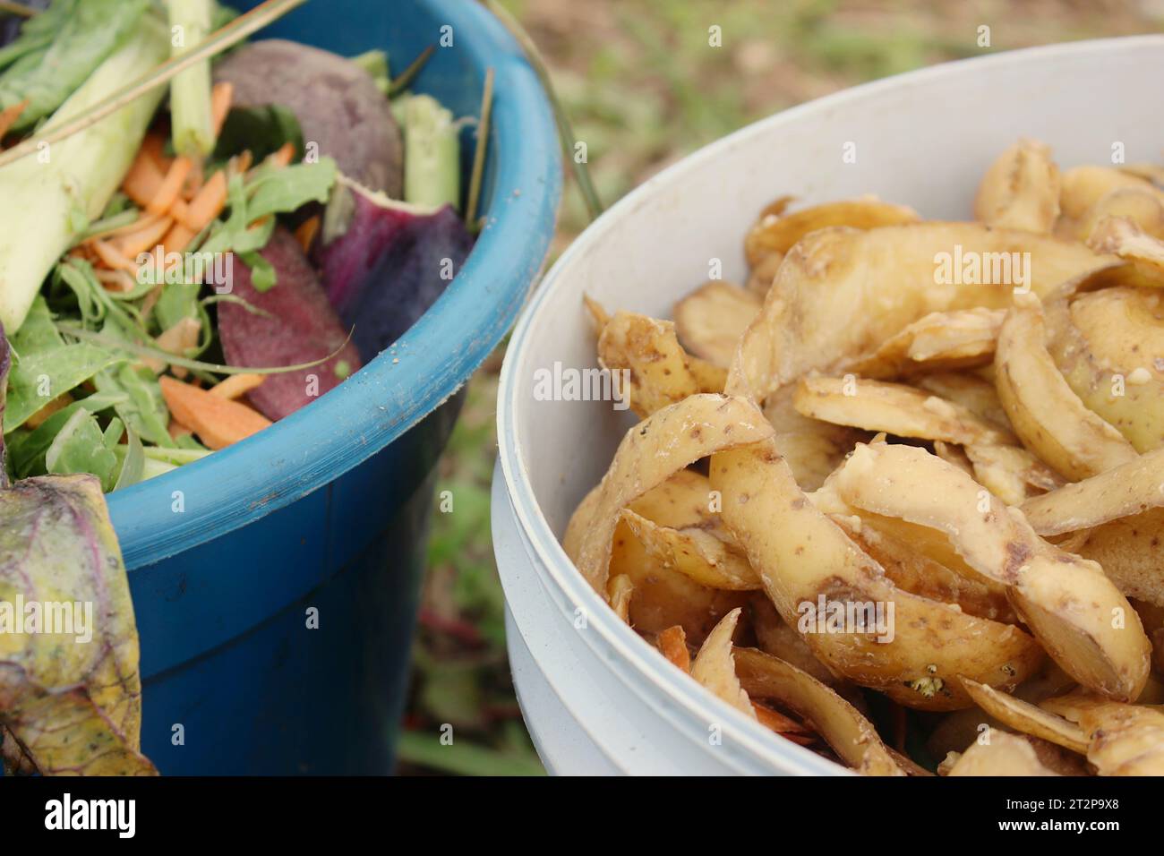 Food waste bucket hi-res stock photography and images - Alamy