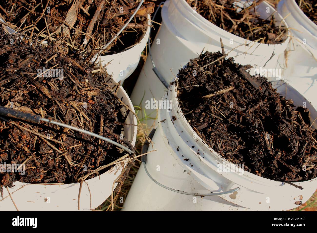 Buckets with fertilizer or organic compost produced through the ...