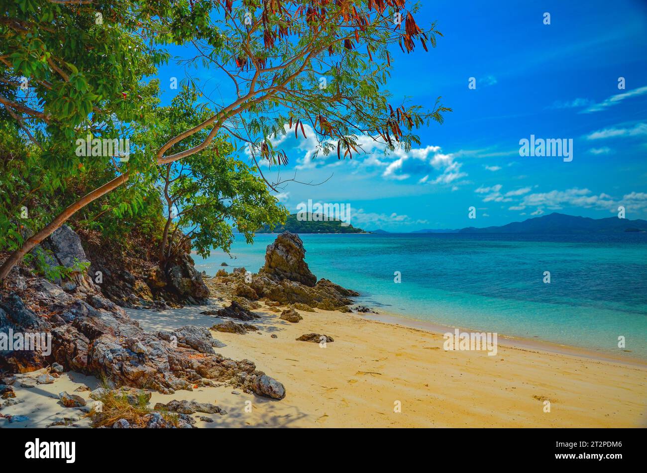 Paradise Island with a clean sandy beach near the island of Coron ...