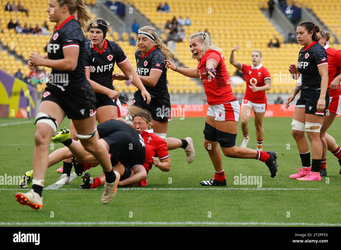 Wxv rugby final hi-res stock photography and images - Alamy